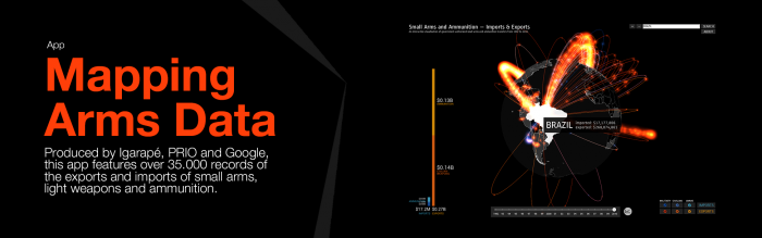 Home - Instituto Igarapé