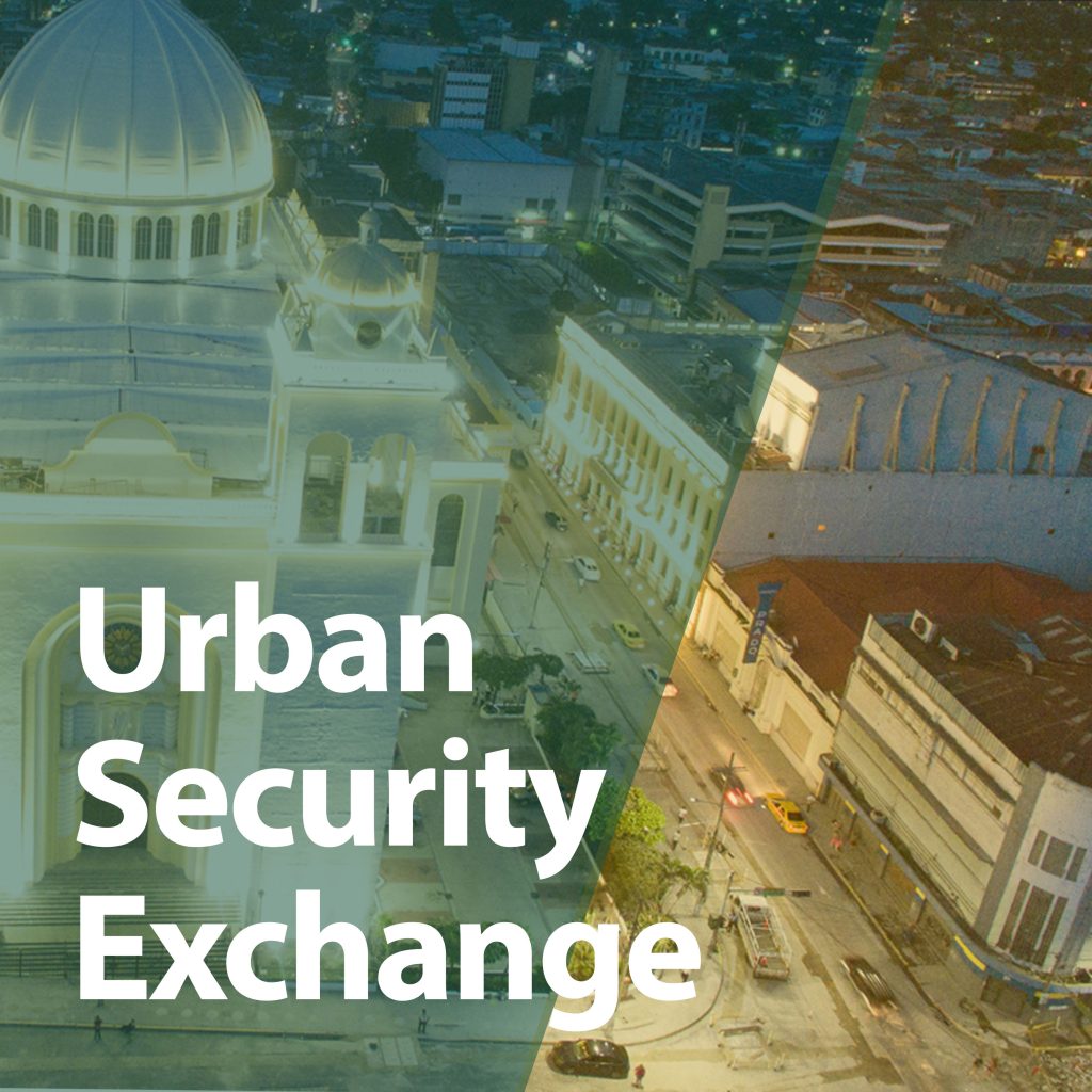 Citizen Security - Instituto Igarapé