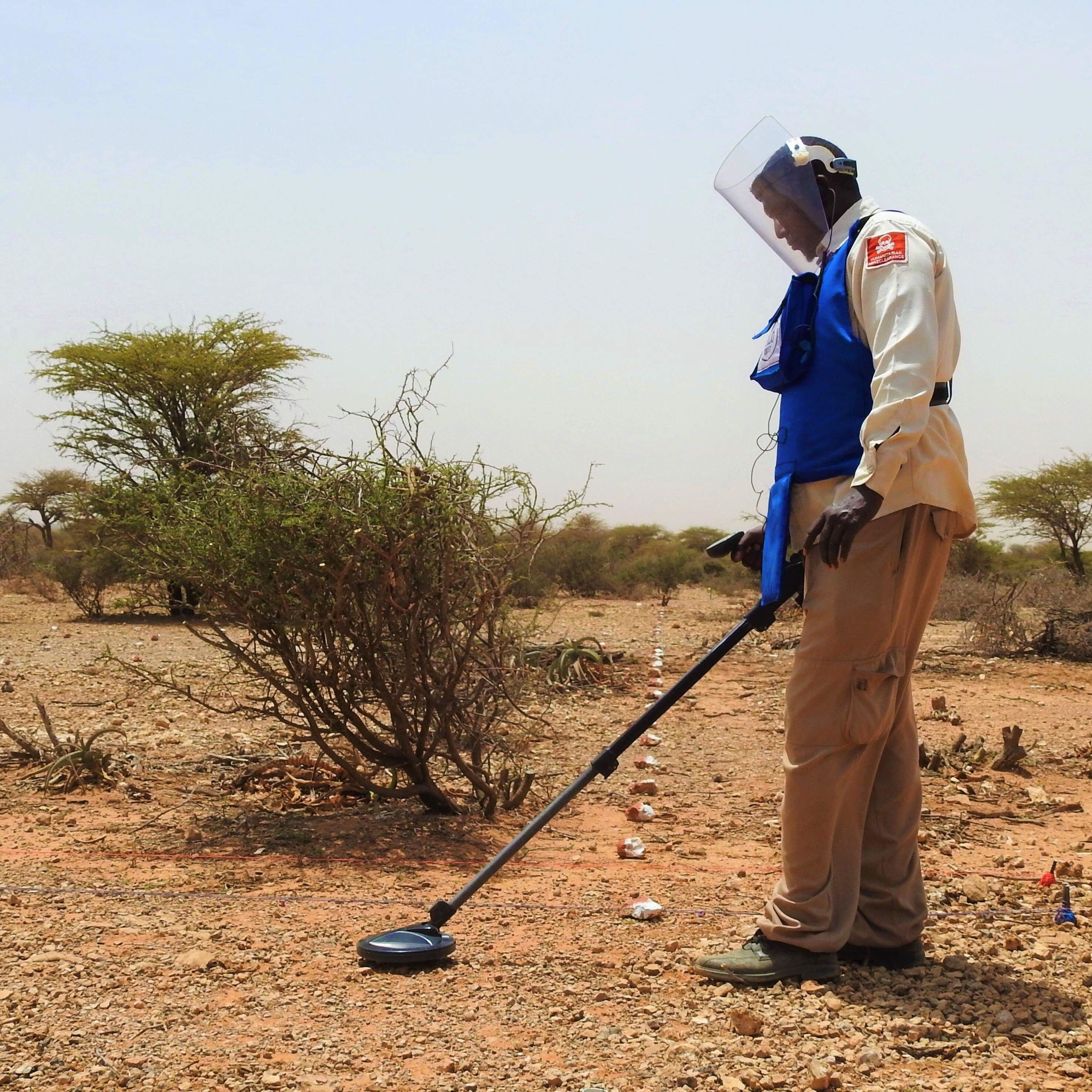 Incorporation of Ex-Combatants in Humanitarian Demining - Instituto Igarapé