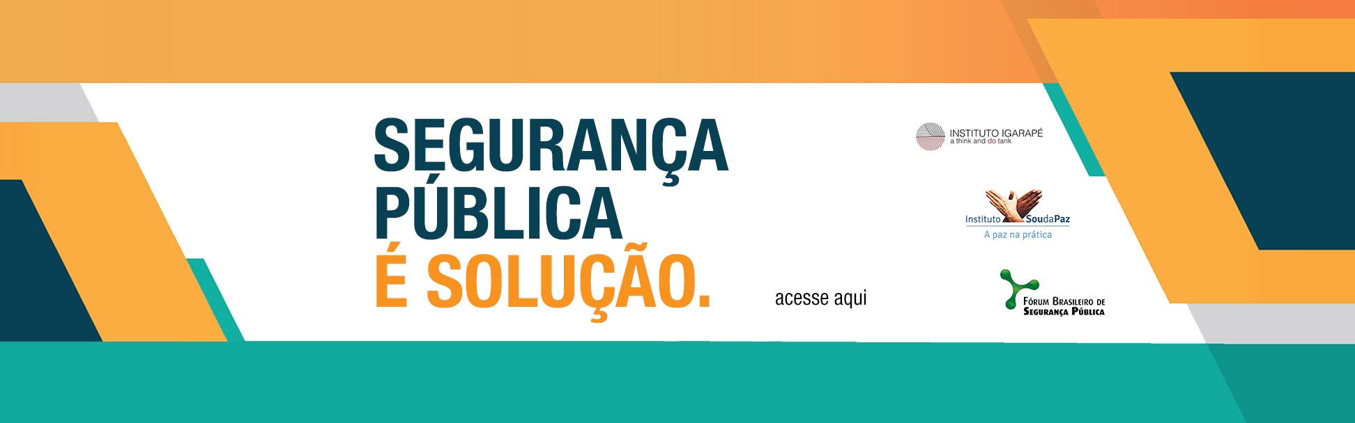 Instituto Igarapé | pensa conecta transforma